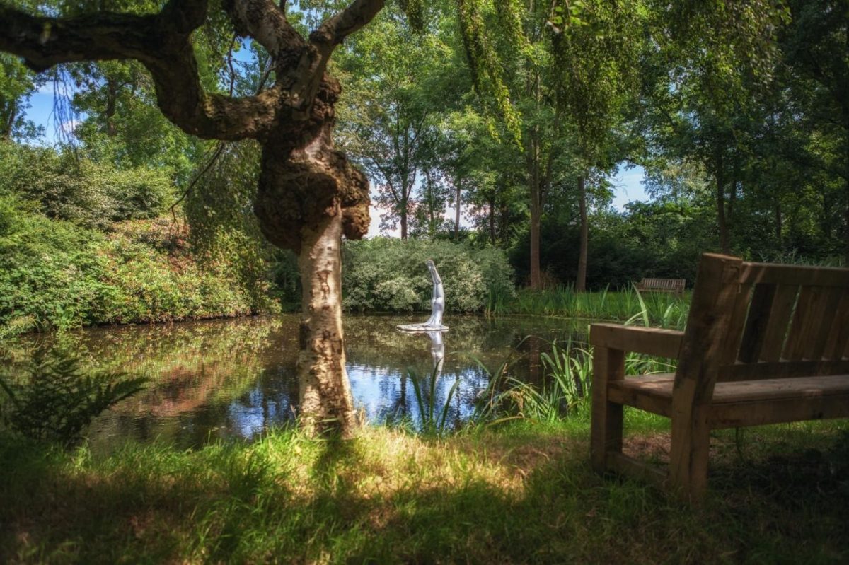 Wester-Amstel | Cultuur & Beelden